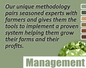 The Peridot Group, LLC – The Peridot Group, LLC